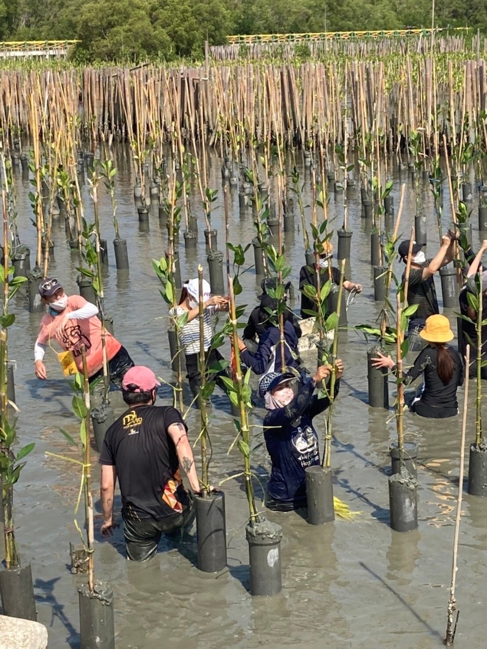 Society:Relationships with Local Communities|2021|Archive by year ...